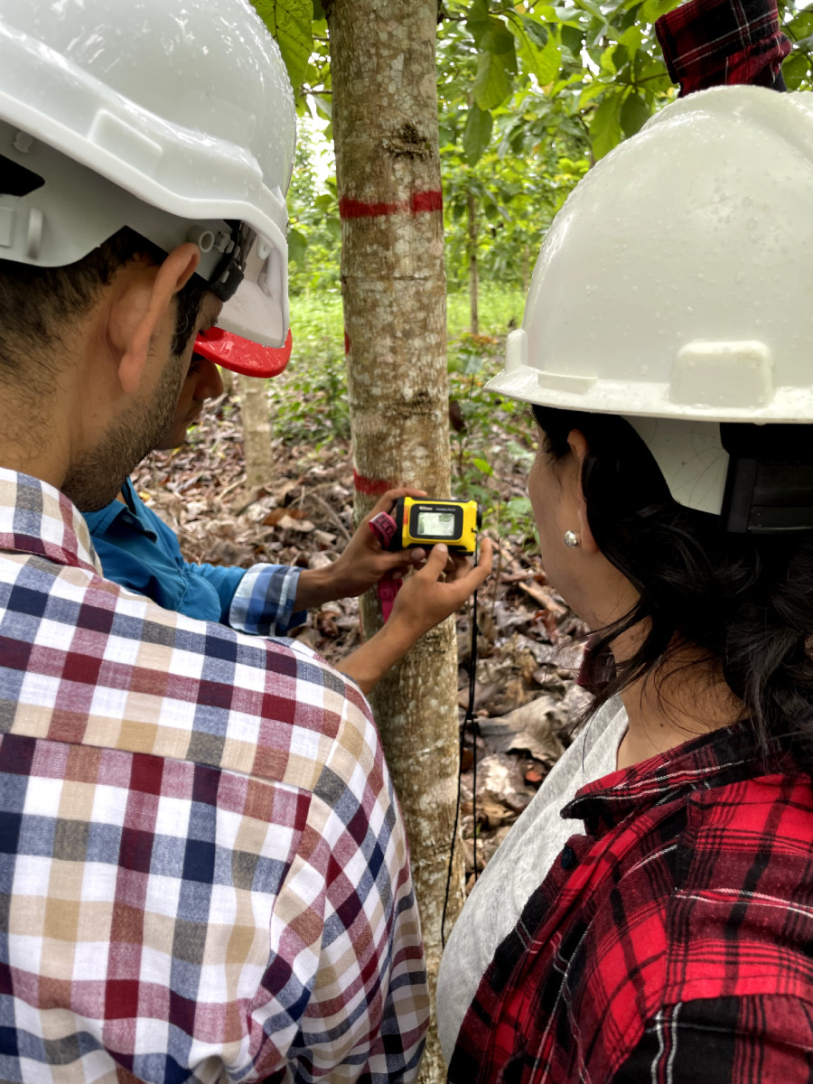 Panama Tropical Reforestation: FORLIANCE