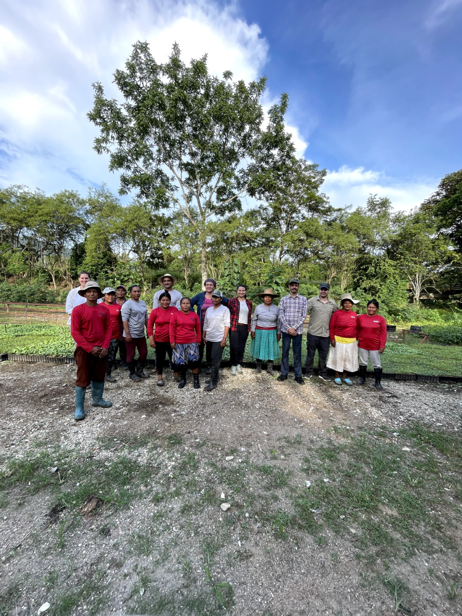 Panama Tropical Reforestation: FORLIANCE