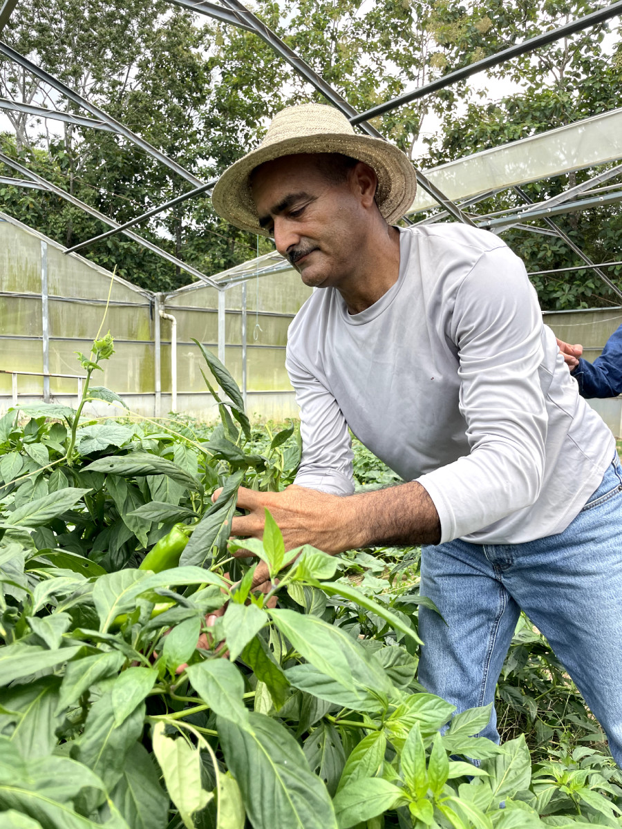 Panama Tropical Reforestation: FORLIANCE