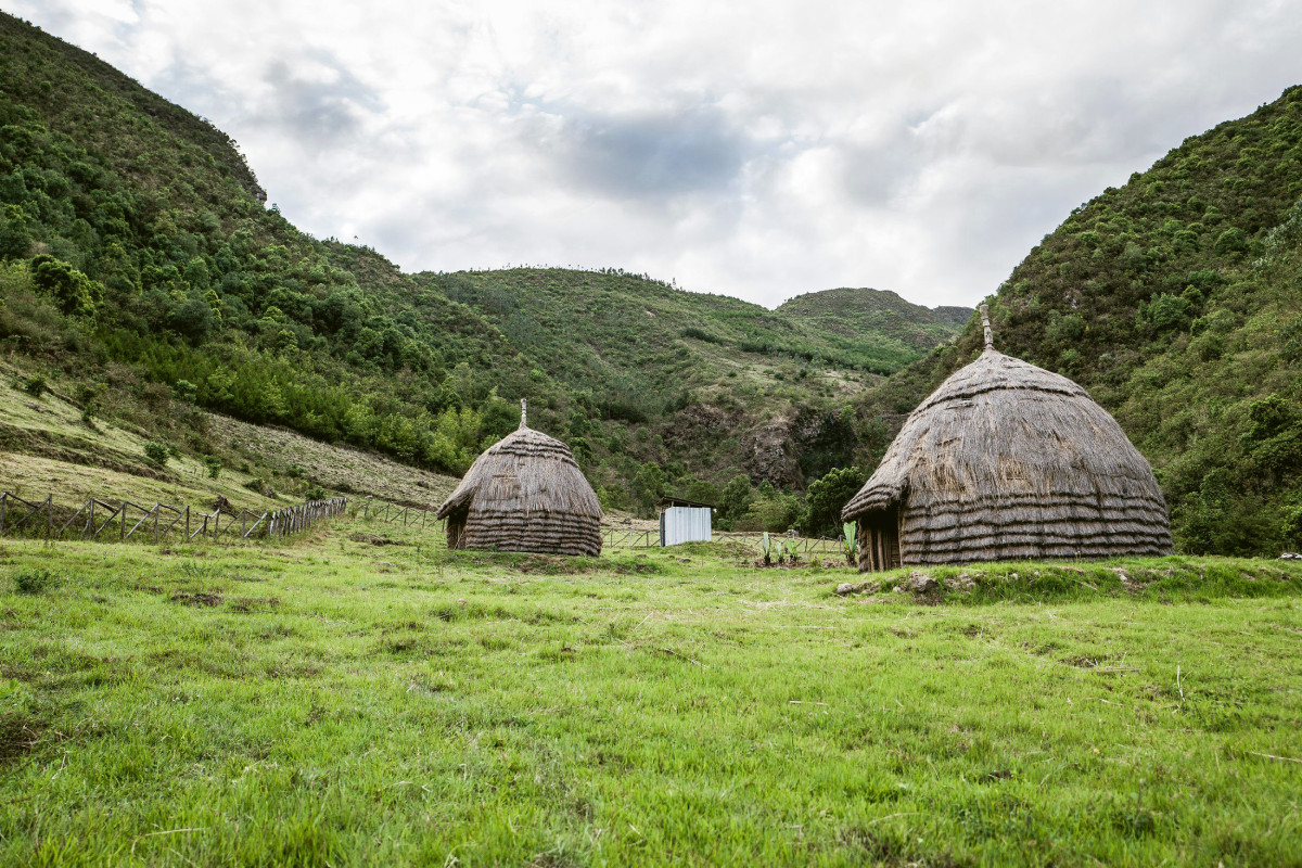 Sodo/Humbo - Community Managed Reforestation: FORLIANCE