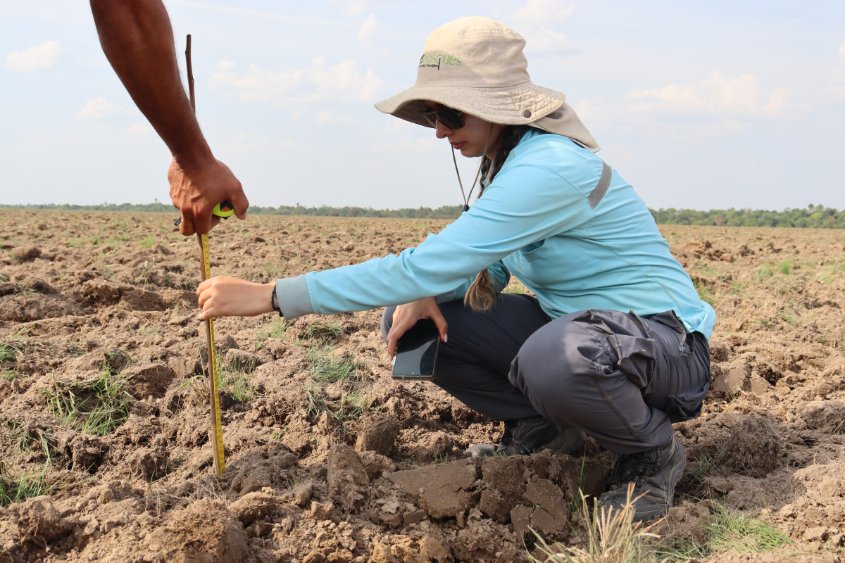 Vichada Climate Reforestation Project: FORLIANCE